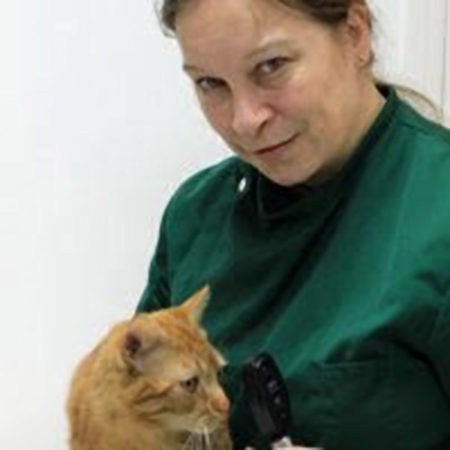 Meet the team - Green Lane Vets